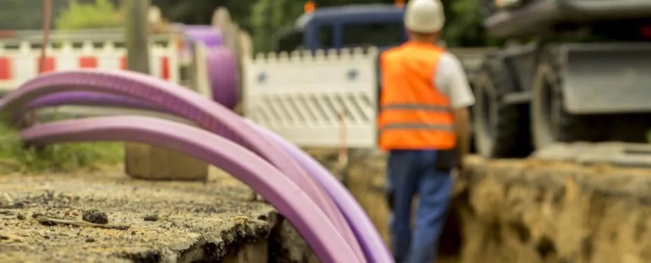 Free trees offered at Reflection Riding from Chattanooga, EPB program | EPB